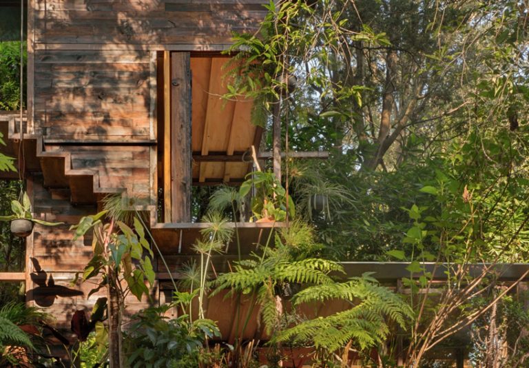 suspended treehouse by talleresque illuminates the surrounding forest ...