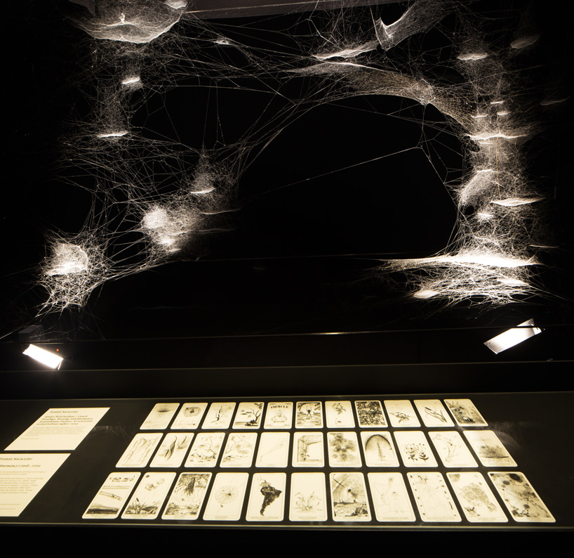 tomás saraceno brings spider webs and his aerocene project at the ...