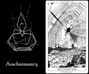 tomás saraceno brings spider webs and his aerocene project at the ...