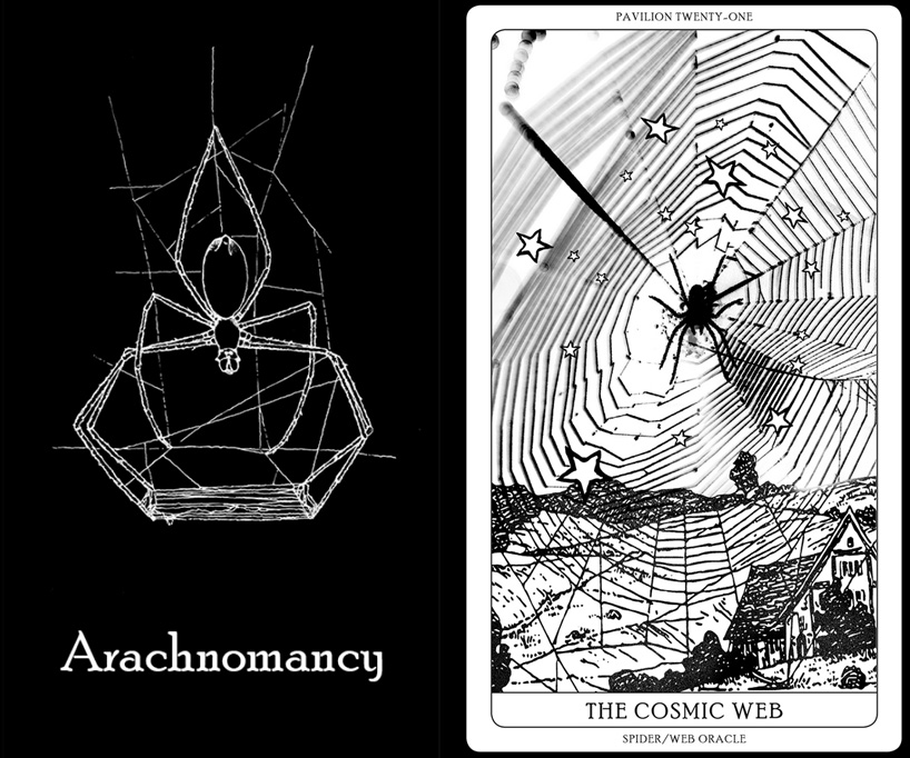 tomás saraceno brings spider webs and his aerocene project at the ...