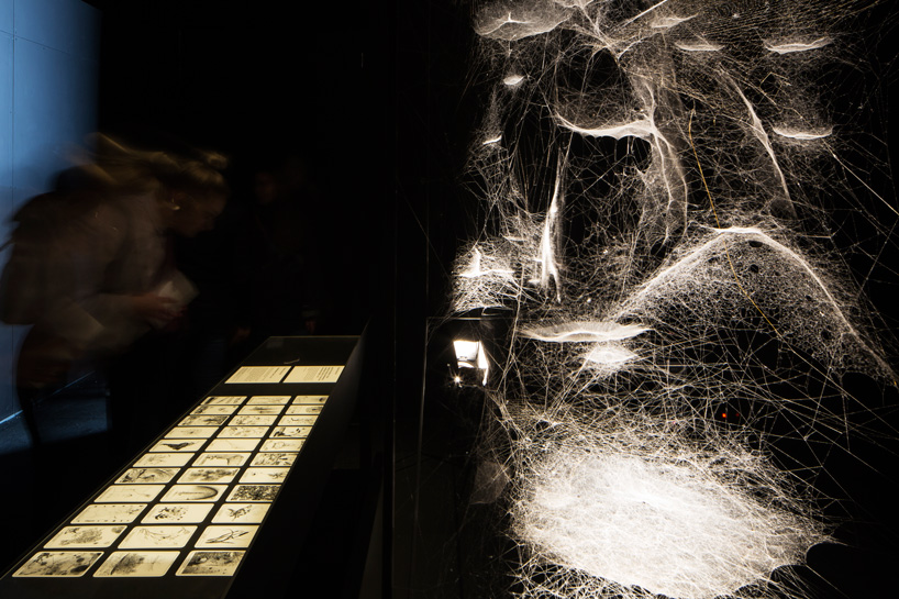 tomás saraceno brings spider webs and his aerocene project at the ...