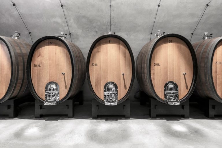 wine cellar in northern italy emerges from ground with stone-like geometry