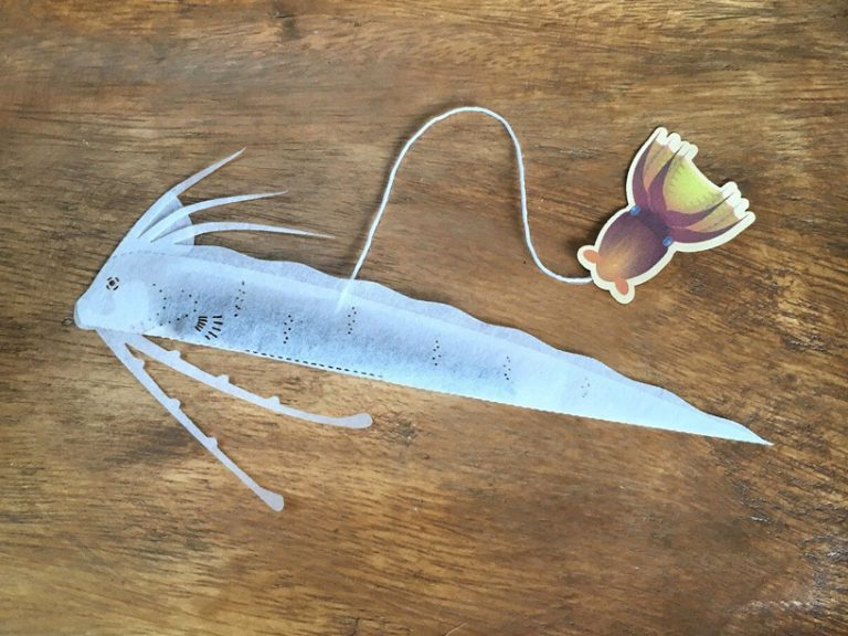 ocean tea bag uses sea life-shaped sachets that come alive in your cup