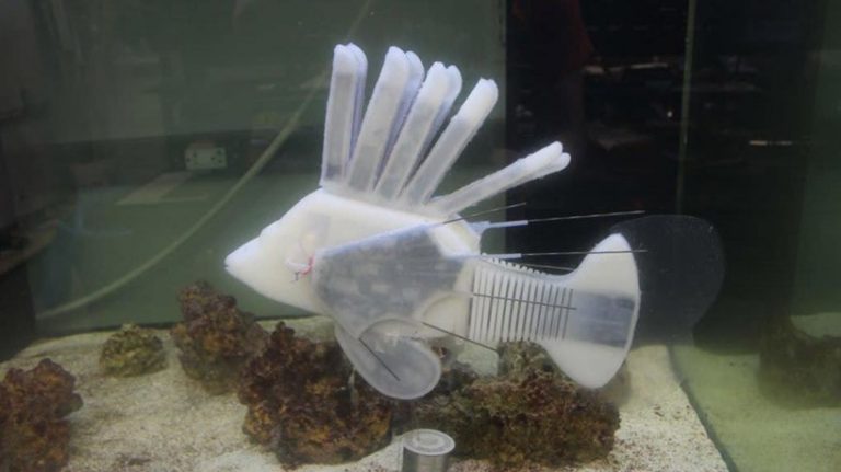 scientists develop robotic fish that uses hydraulic blood to swim for ...