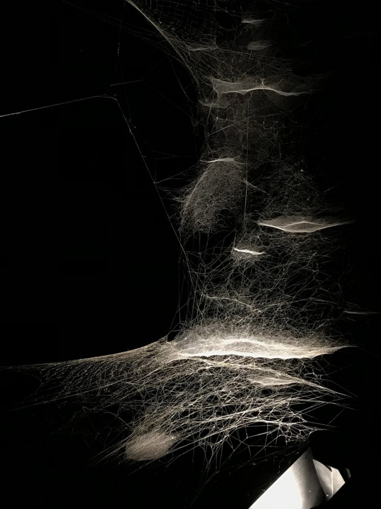 tomás saraceno brings spider webs and his aerocene project at the ...