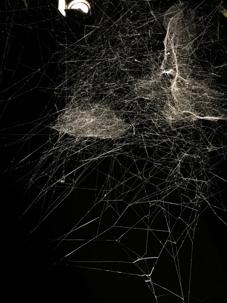 tomás saraceno brings spider webs and his aerocene project at the ...