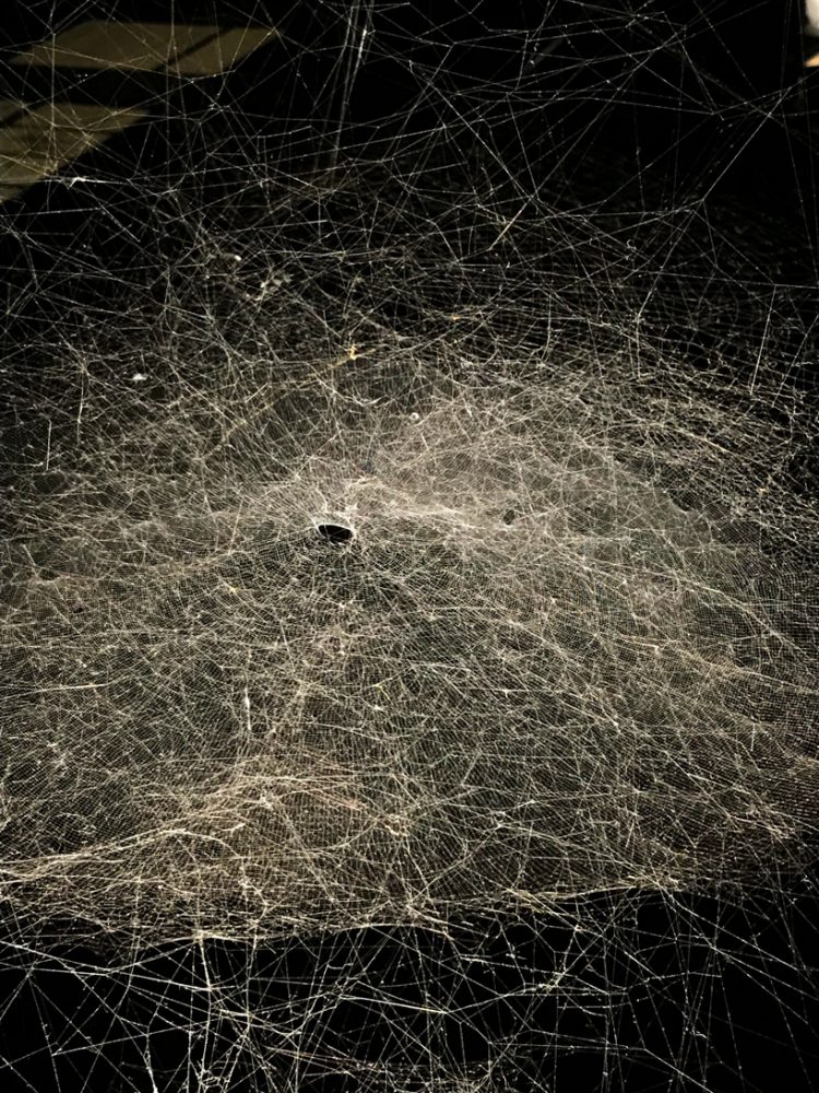 tomás saraceno brings spider webs and his aerocene project at the ...