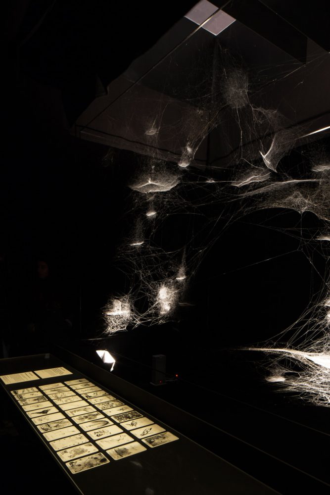 tomás saraceno brings spider webs and his aerocene project at the ...