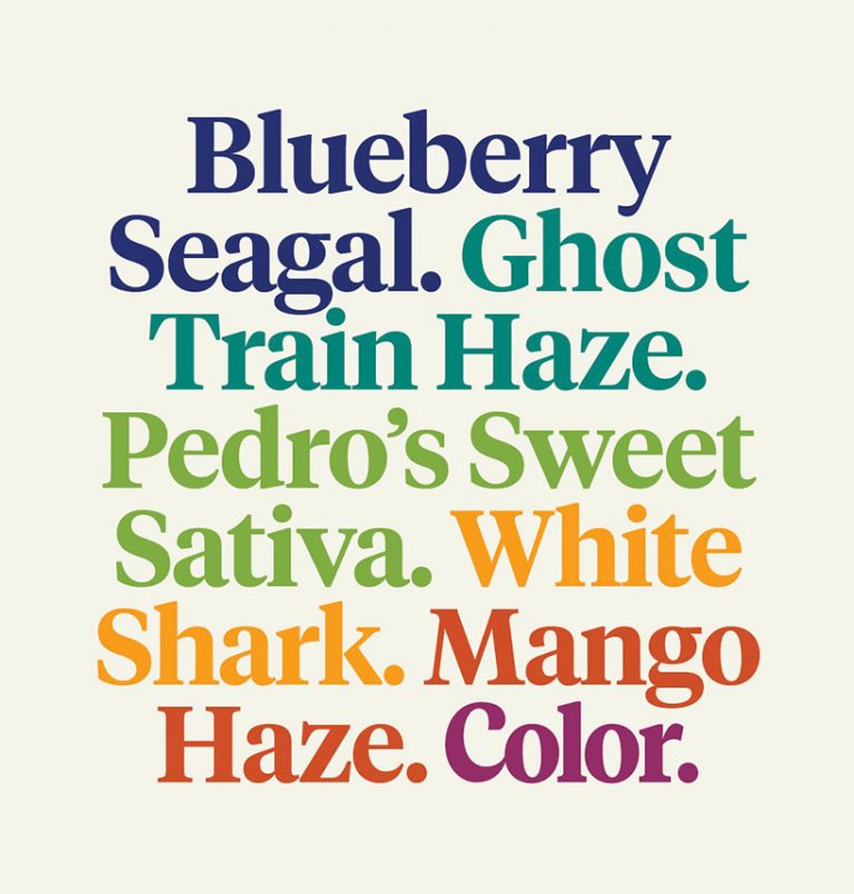 color cannabis conjures memories to modernize society's monochromatic ...