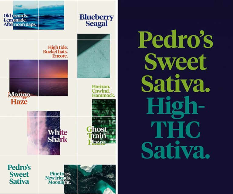 color cannabis conjures memories to modernize society's monochromatic ...