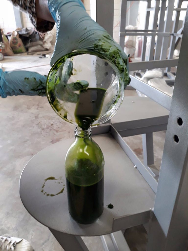 BioUrban robotic tree fights pollution by performing the work of 368 ...