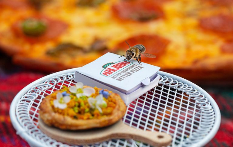 these miniature pizzas for bees are making a buzz for biodiversity