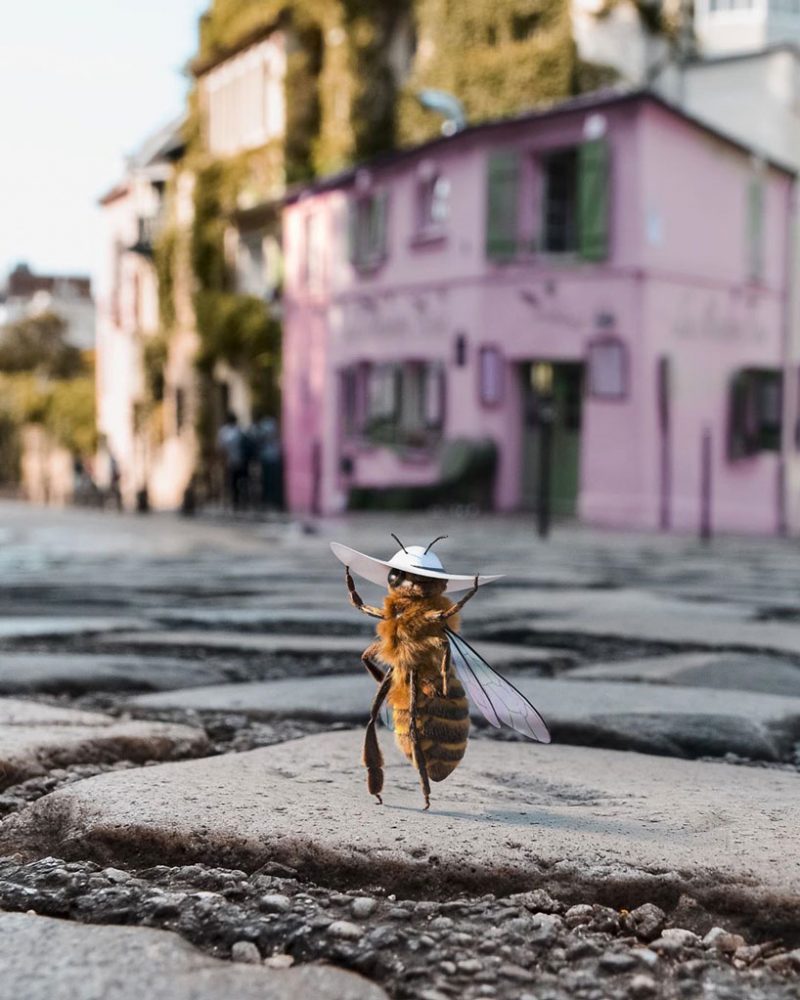 world's first bee influencer generates 'buzz' on instagram in bid to ...