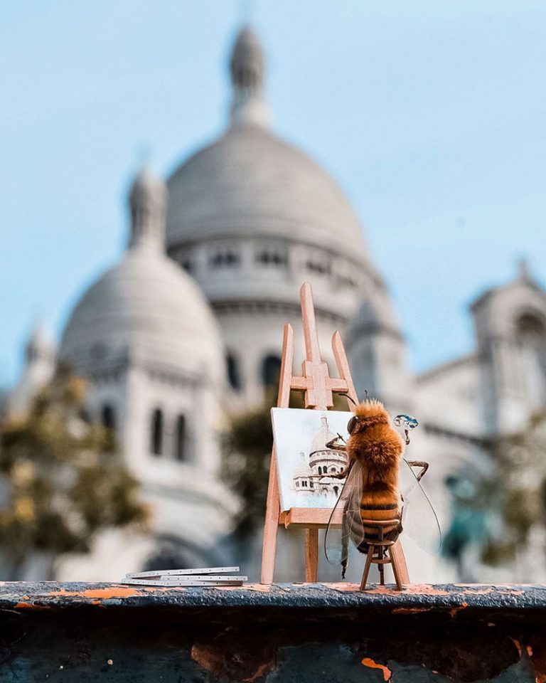 world's first bee influencer generates 'buzz' on instagram in bid to ...