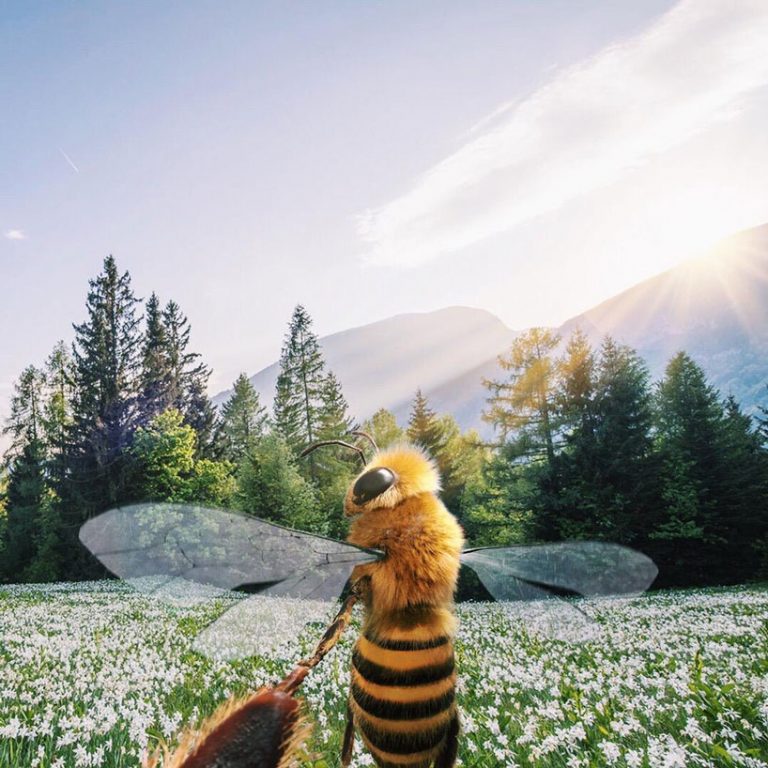 world's first bee influencer generates 'buzz' on instagram in bid to ...