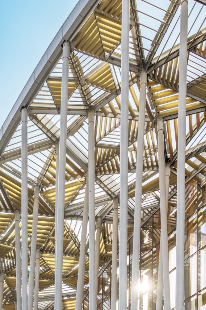 steven chilton architects completes 'bamboo forest' wuxi taihu show theater
