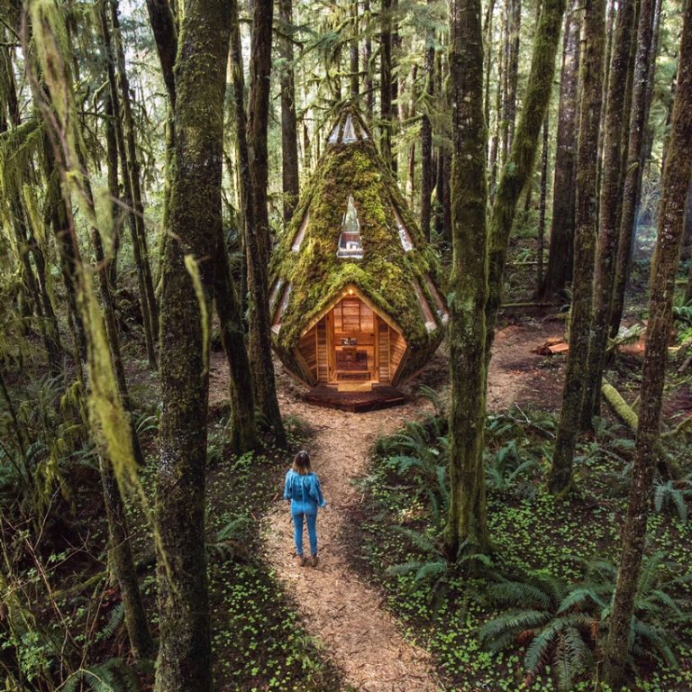 cabinland continues to grow with the mossy, dream-like diamond cabin