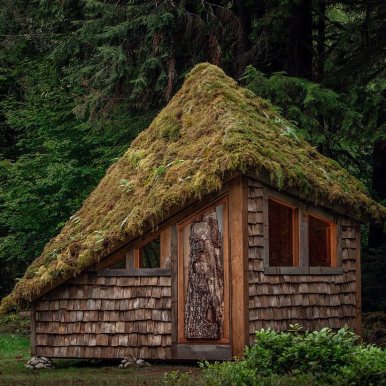 cabinland continues to grow with the mossy, dream-like diamond cabin