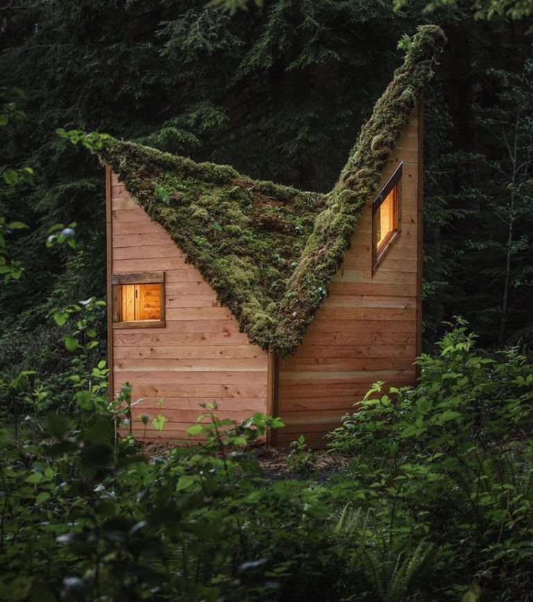 cabinland continues to grow with the mossy, dream-like diamond cabin