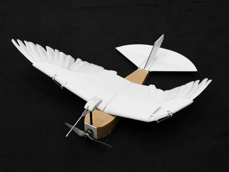 a robot bird built using 40 pigeon feathers flies like the real thing