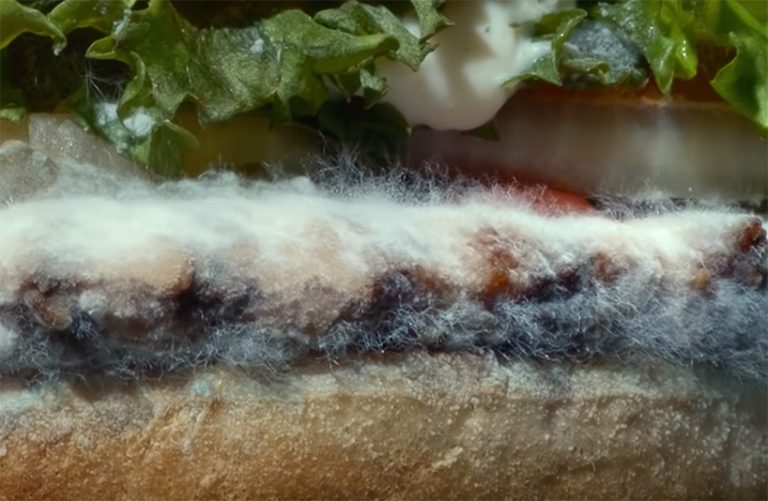 burger king cuts artificial preservatives and creates a moldy ad to ...