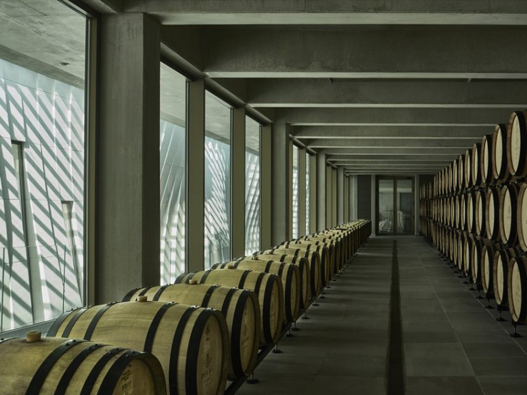 carl fredrik svenstedt adds cellar clad in curving solid stone to delas ...