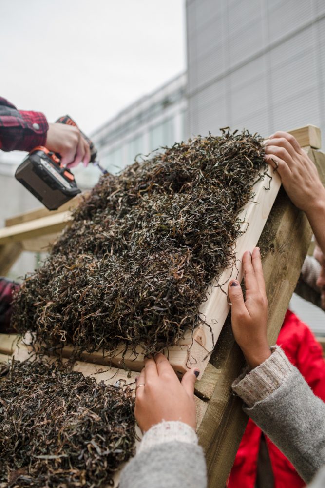 kathryn larsen turns seaweed into prefab thatch panels for the building ...