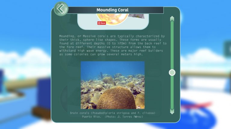 NASA creates game inviting you to help map the ocean's coral reefs