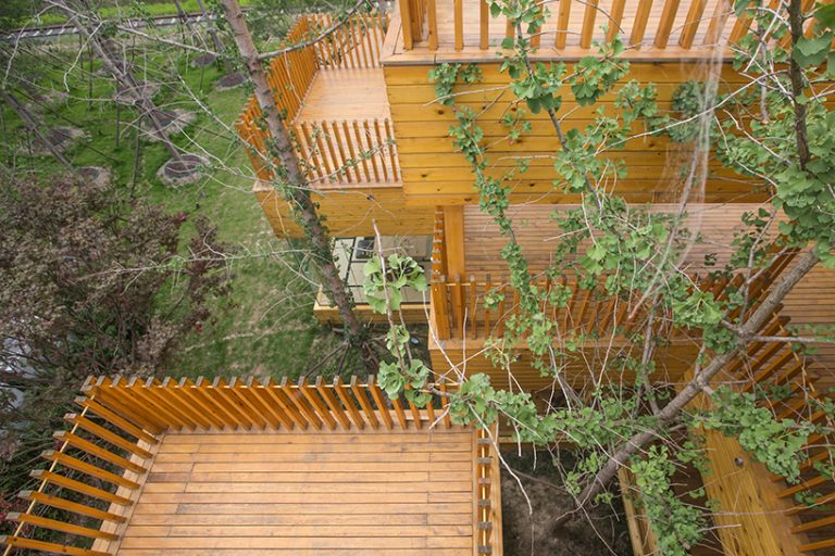 MADAM and hexia's ginkgo forest tea house is a cluster of playful volumes