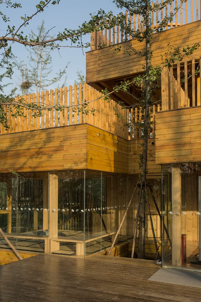 MADAM and hexia's ginkgo forest tea house is a cluster of playful volumes