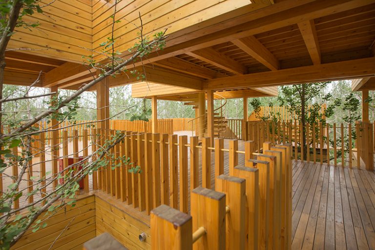 MADAM and hexia's ginkgo forest tea house is a cluster of playful volumes
