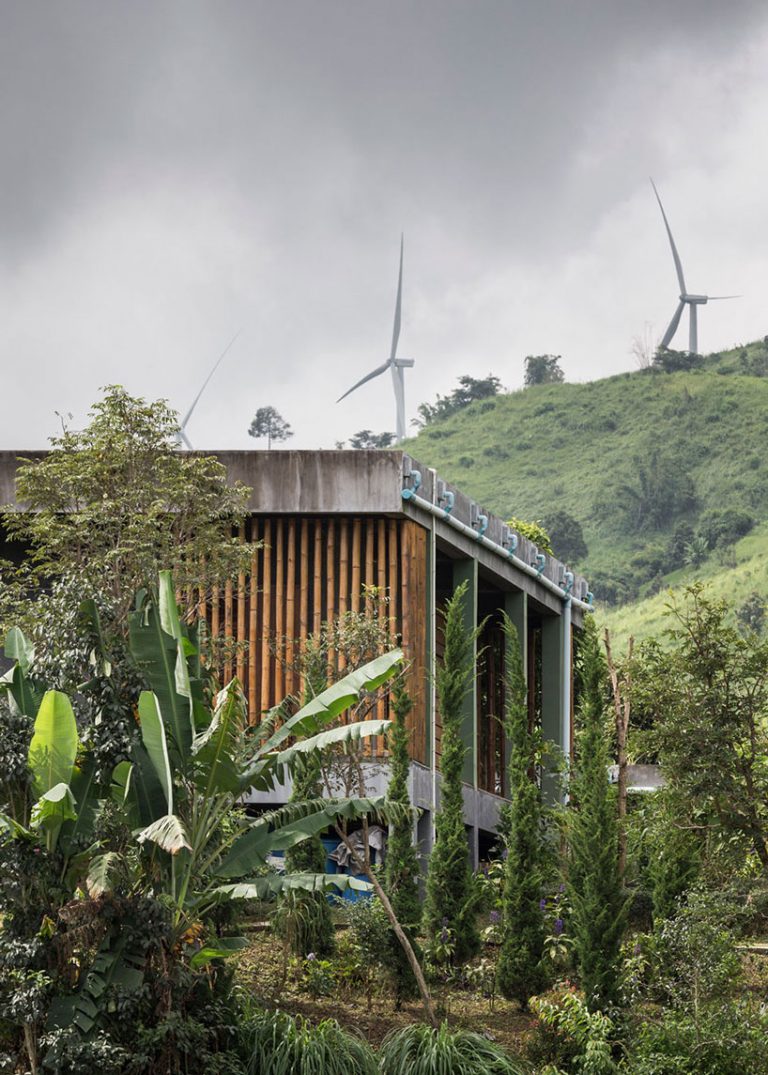 bamboo and concrete builds TOUCH architect's sustainable 'tree villa ...