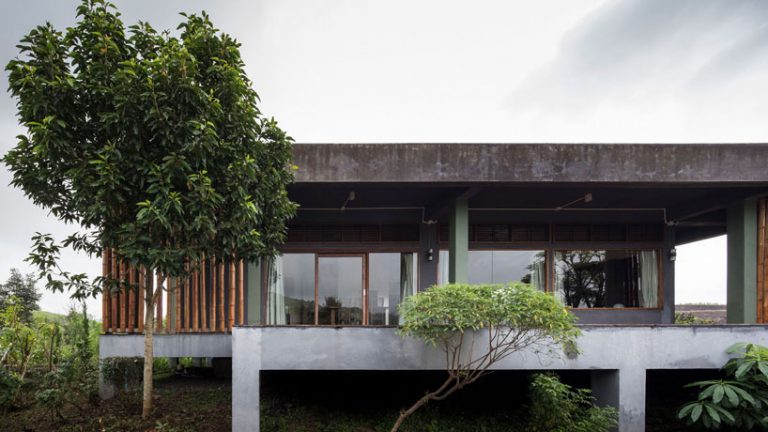 bamboo and concrete builds TOUCH architect's sustainable 'tree villa ...