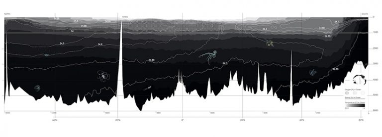 lucy zakharova + ted lu design ocean capsules to help restore the ...