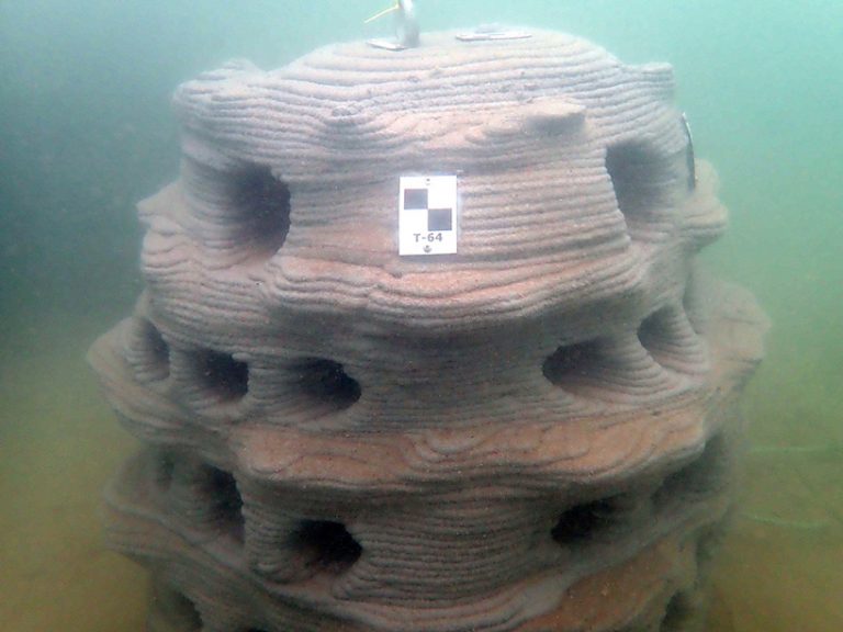3D-printed artificial reefs immersed in european bays as part of 3Dpare ...
