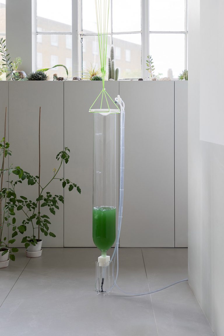BioBombola by ecoLogicStudio is a domestic algae garden