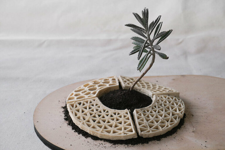 any fin is possible as NTCRI bio-recycles fish scales into crafts