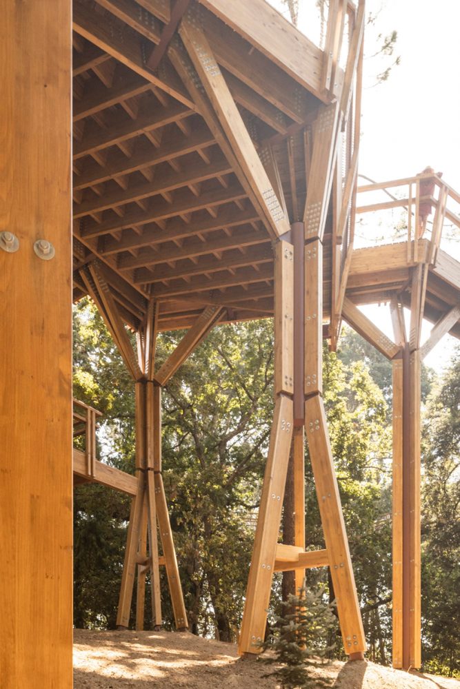 carlos castanheira elevates visitors above serralves with canopy walkway
