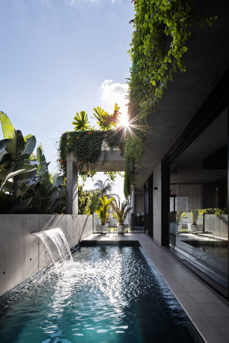 shaun lockyer extends 'danny's house' with a lush outdoor pool in brisbane