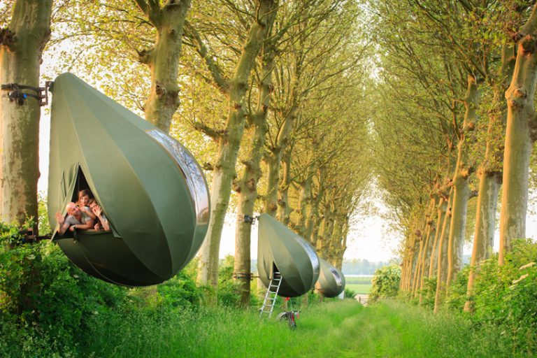 spend the night in a teardrop-shaped tent suspended in a belgian forest
