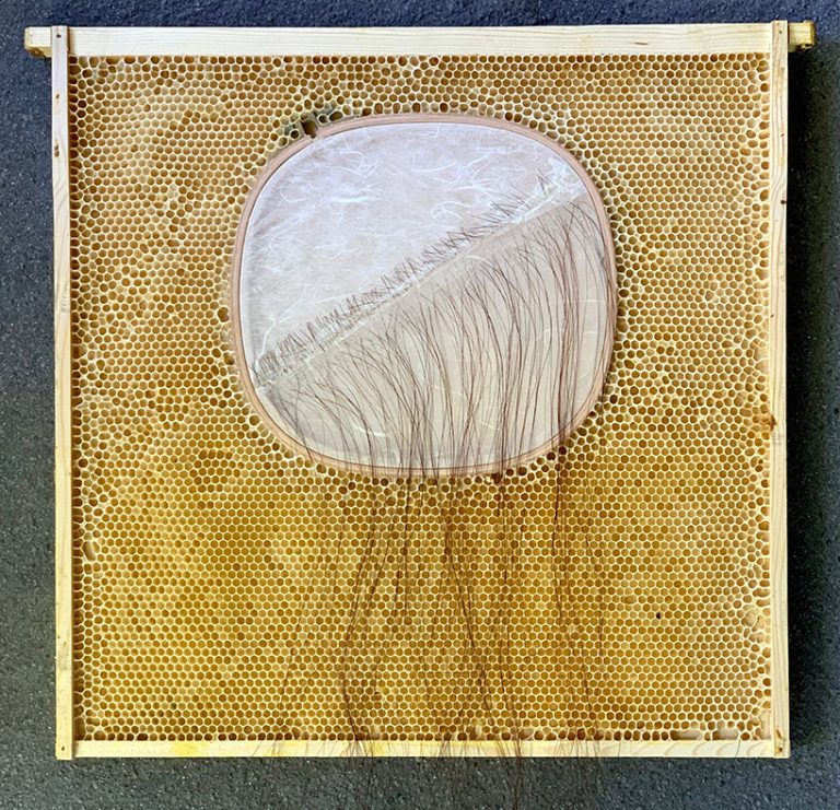 ava roth collaborates with bees in embroidery artworks contained by ...