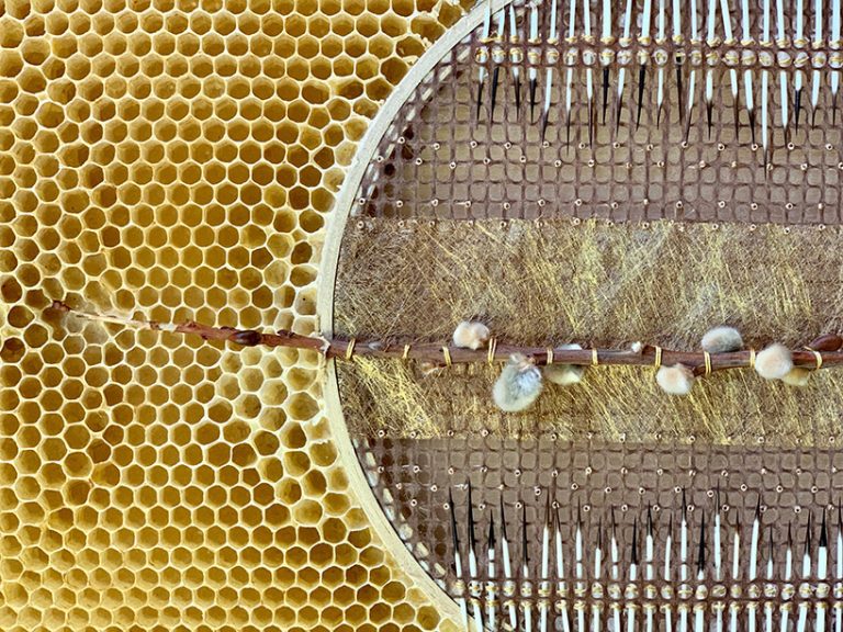 ava roth collaborates with bees in embroidery artworks contained by ...