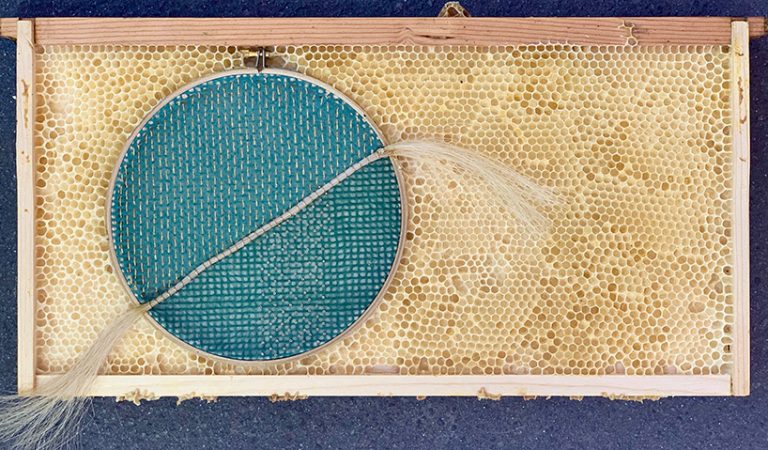 ava roth collaborates with bees in embroidery artworks contained by ...