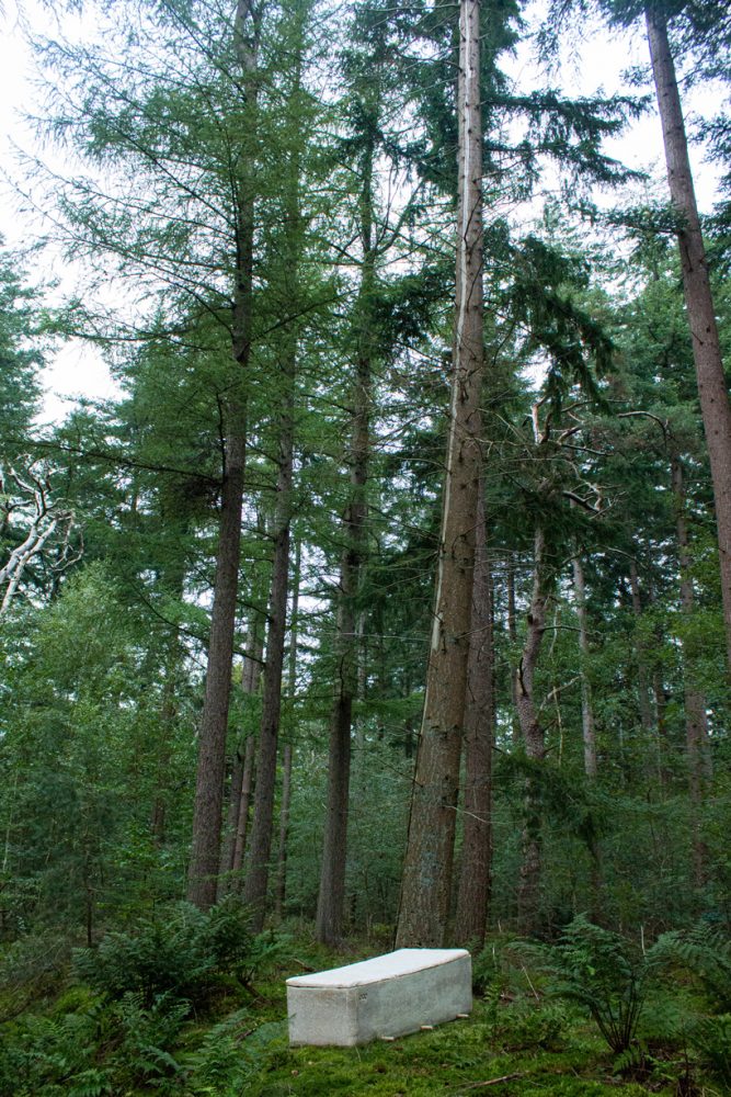 world’s first living coffin made of mushroom mycelium gives human ...