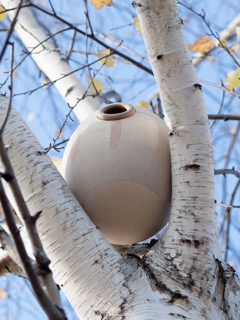 dydykin studio designs round wooden birdhouse to resemble a natural ...