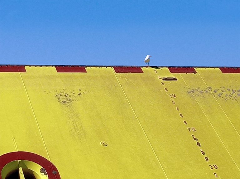 MOSE flood barrier protects venice - see how it works