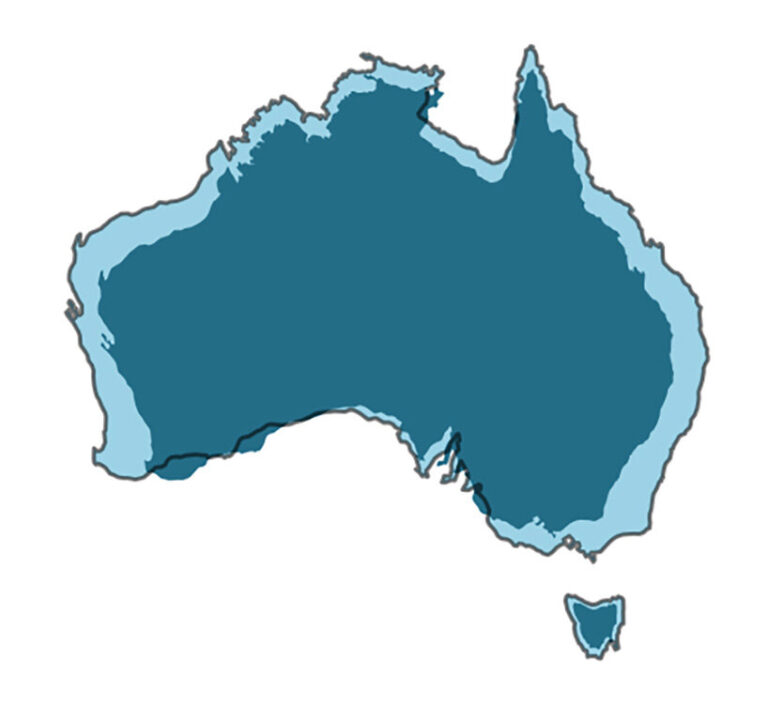 this animated map shows the real size of each country