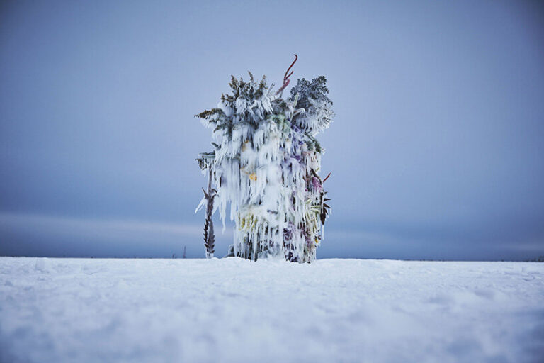 in frozen flowers, azuma makoto uses ice to preserve floral installations