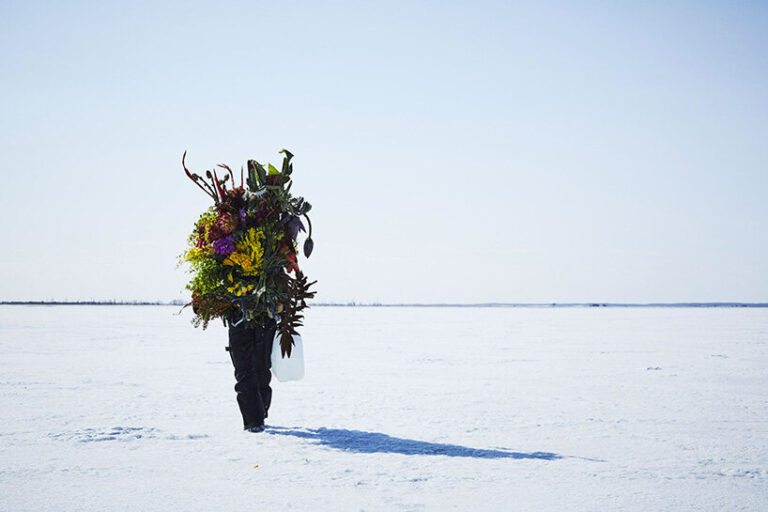 in frozen flowers, azuma makoto uses ice to preserve floral installations