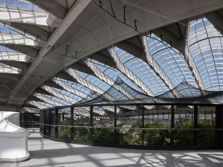 KANVA wraps montreal's renovated biodôme in white undulating 'living skin'